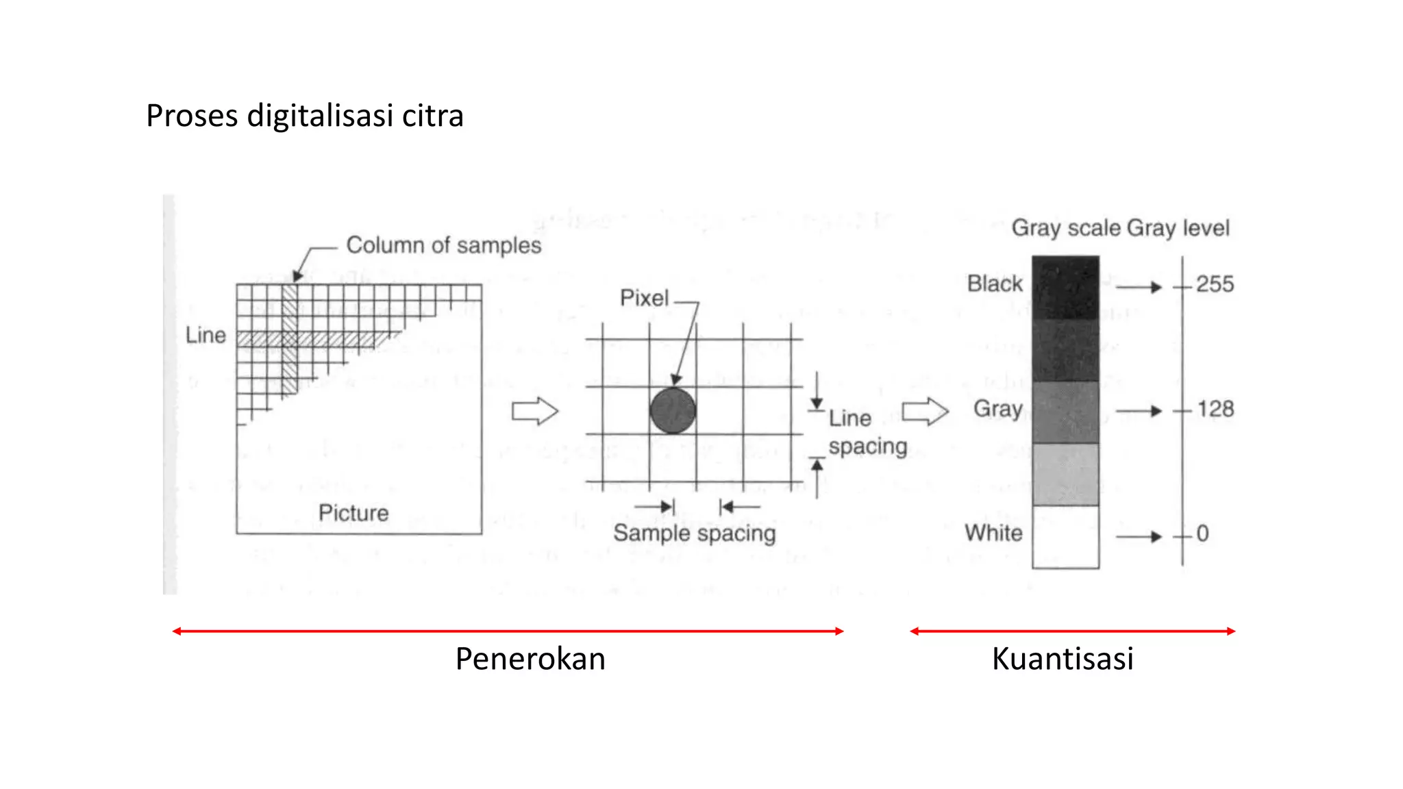 03-Pembentukan-Citra-dan-Digitalisasi-Citra.pptx