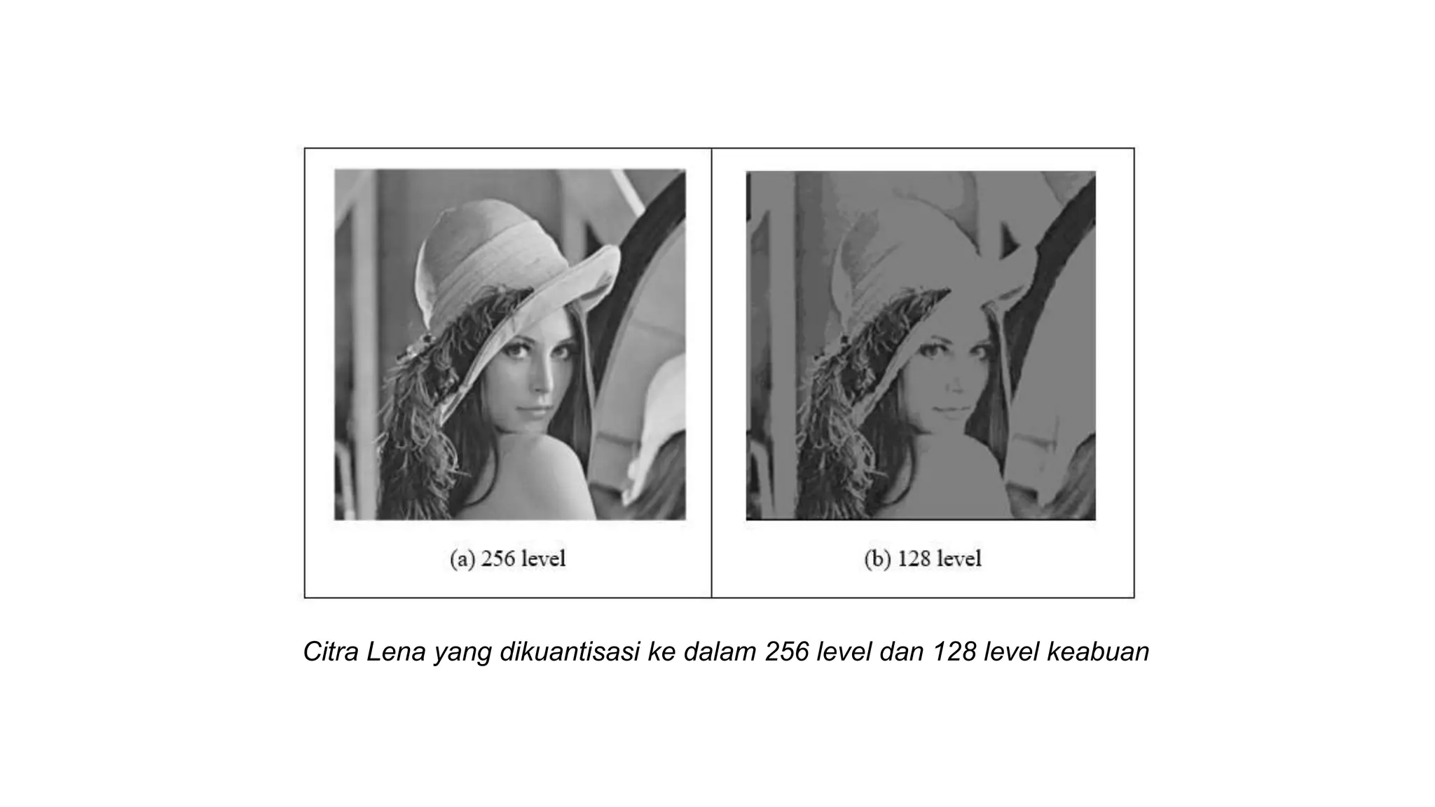 03-Pembentukan-Citra-dan-Digitalisasi-Citra.pptx