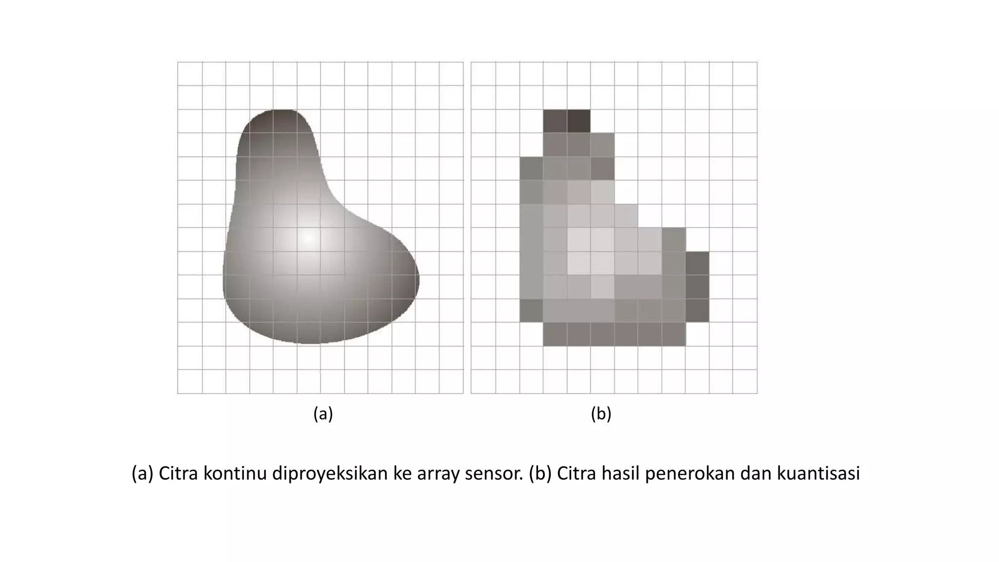 03-Pembentukan-Citra-dan-Digitalisasi-Citra.pptx