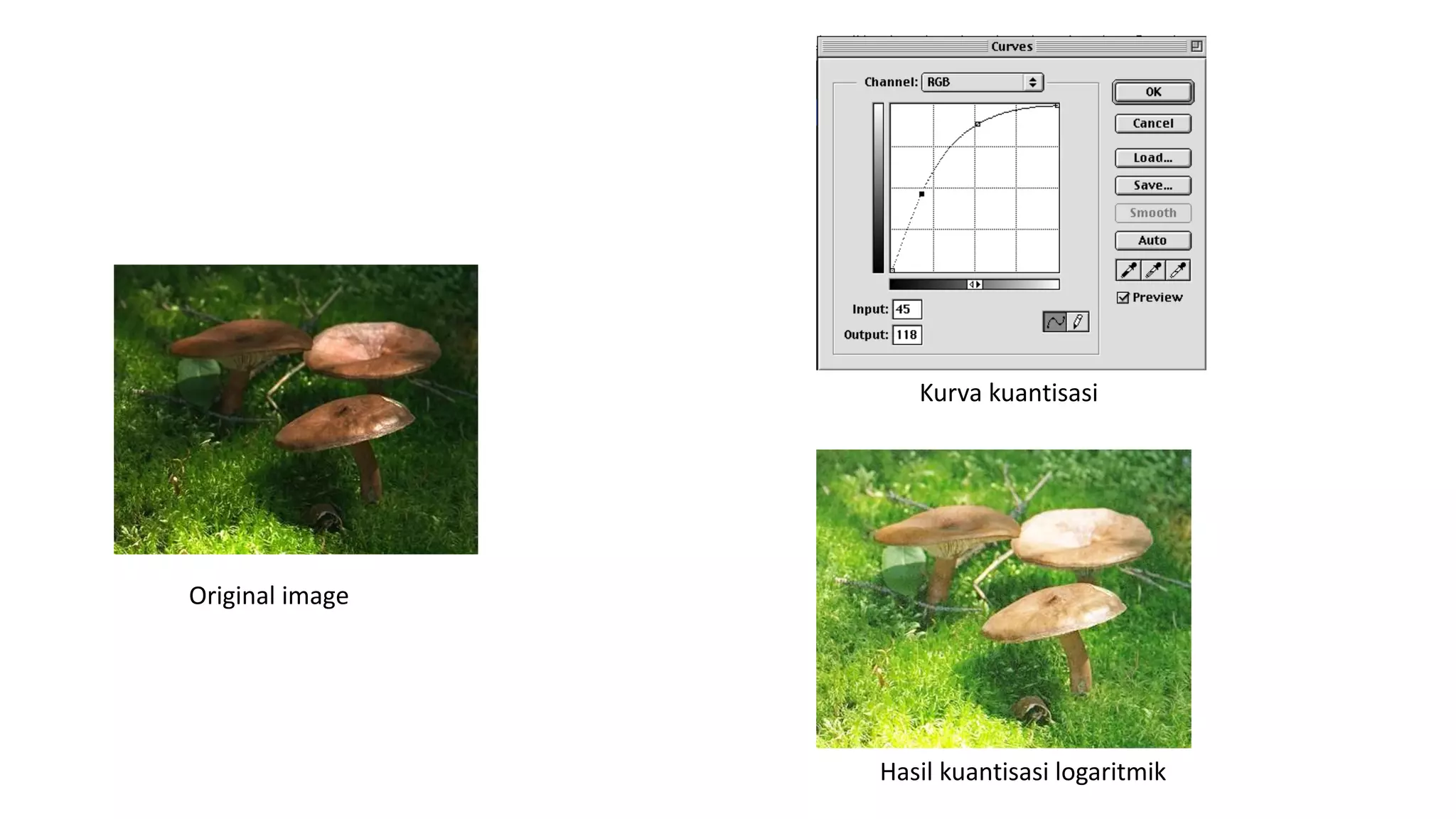 03-Pembentukan-Citra-dan-Digitalisasi-Citra.pptx