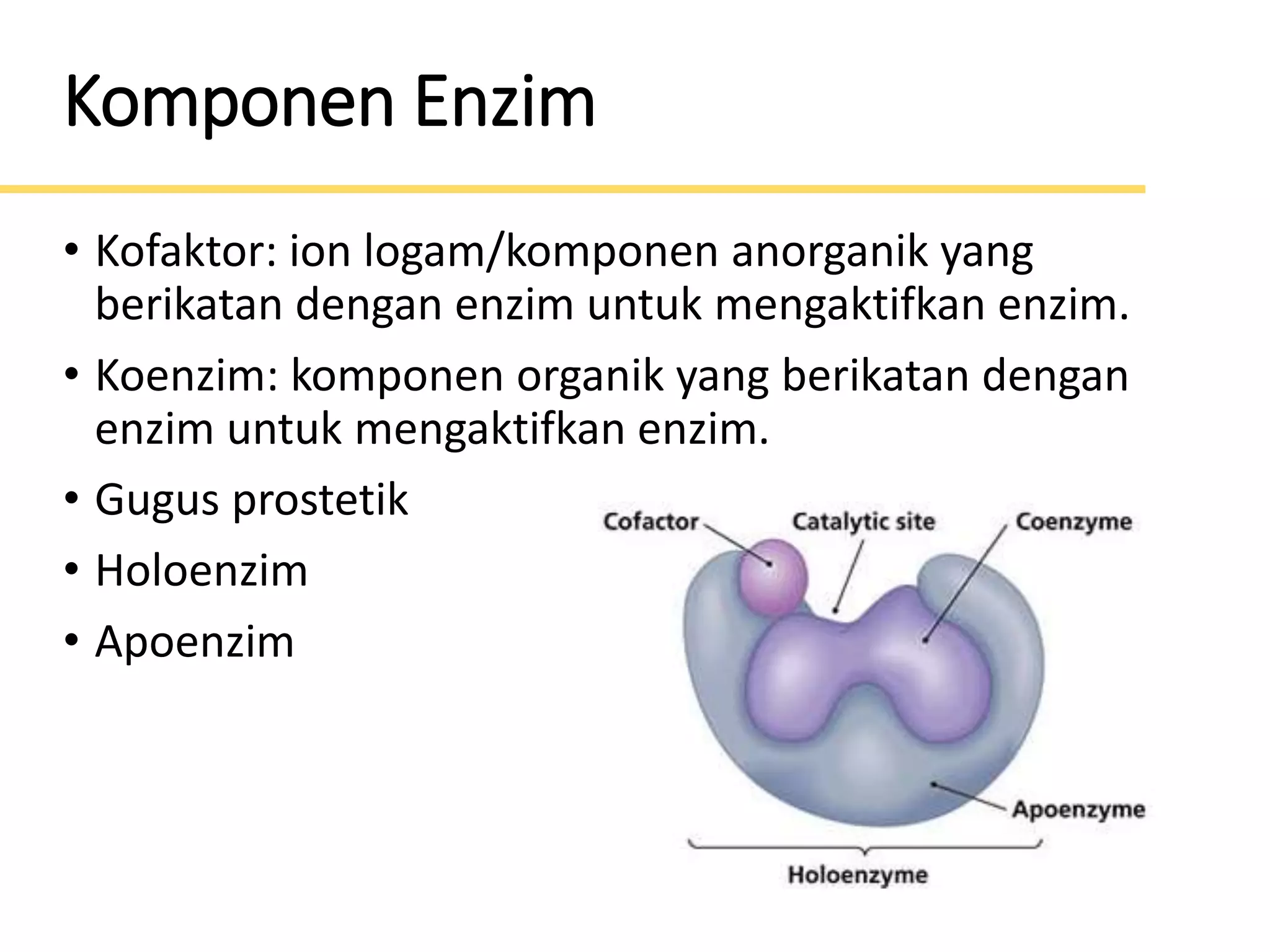 BIOKIMIA GIZI 03 - PERANAN HORMON DAN ENZIM 2023.pptx