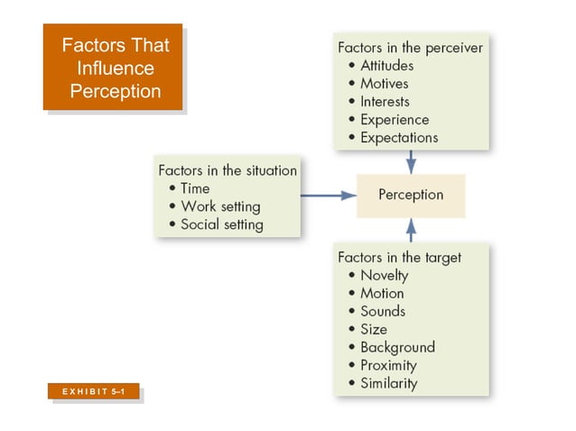 Perception and individual decisionmaking | PPT