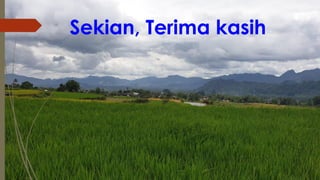 03-PETA-JALAN-PENELITIAN.pdf