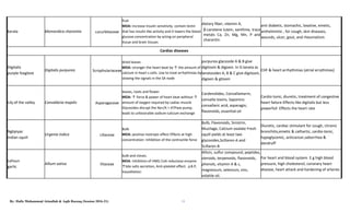Pharmacognosy scheme 3rd prof. new(By H.M.Attaullah).pdf