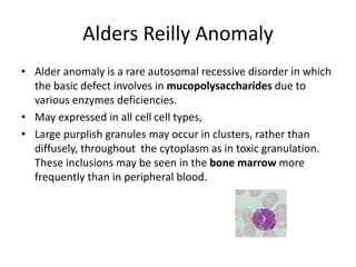 Alder Reilly Vs Toxic Granulation