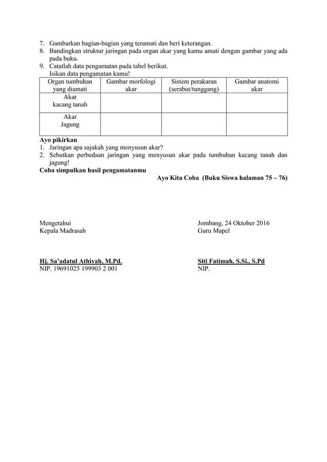 03-rpp-kls-8_3-akar-ipa.docx