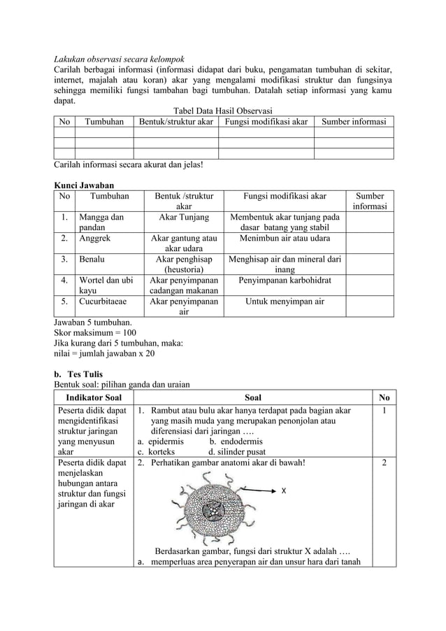03-rpp-kls-8_3-akar-ipa.docx