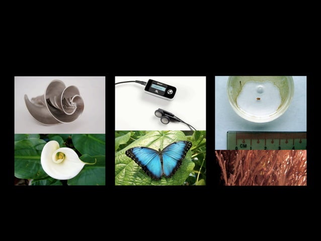 Design Nerd Jam 5.5: Biomimicry + Living Buildings | PDF