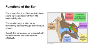 DESCRIBE THE STRUCTURE AND FUNCTIONS OF EAR | PPTX