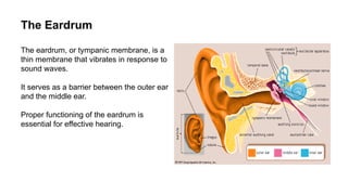 DESCRIBE THE STRUCTURE AND FUNCTIONS OF EAR | PPTX