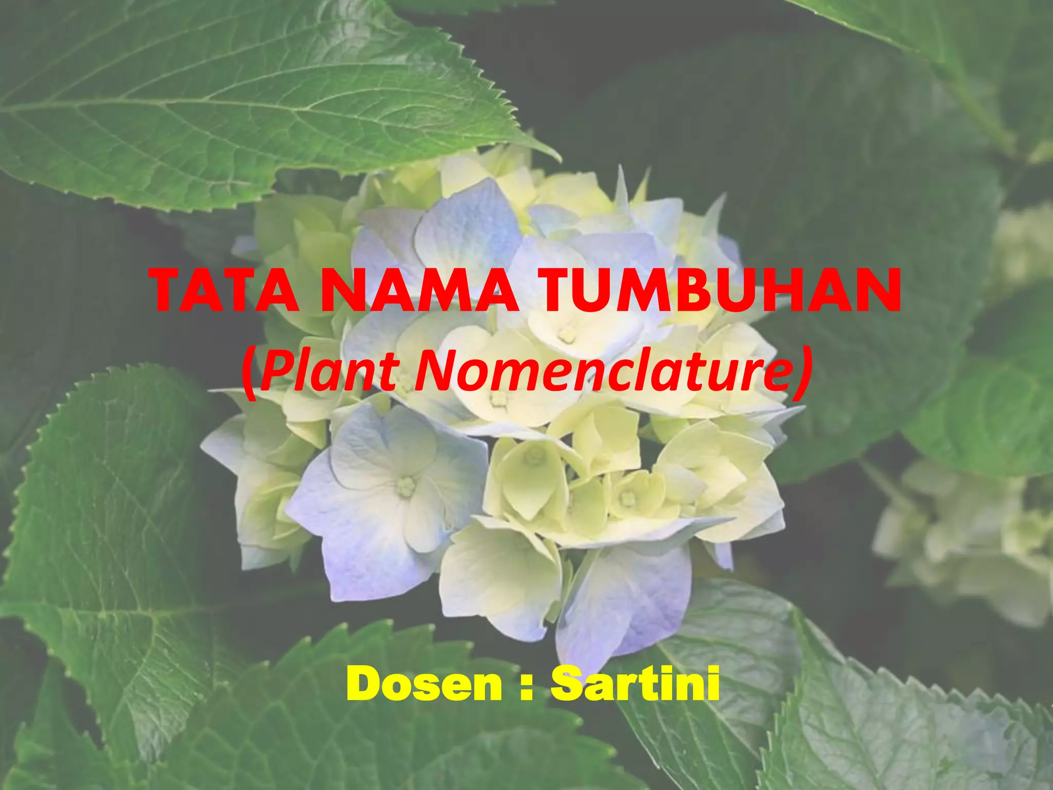 03 tata-nama-taksonomi-tumbuhan-tinggi | PPTX