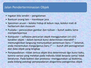 03 tata-nama-taksonomi-tumbuhan-tinggi | PPTX