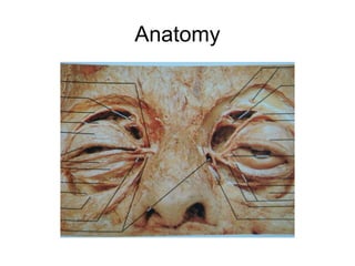 03 traumatic telecanthus | PPT