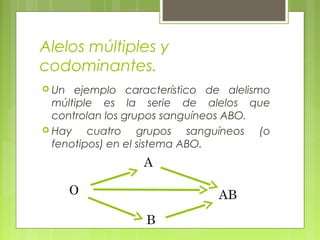 variabilidad y herencia | PPT