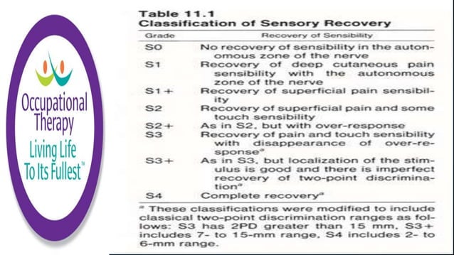 Occupational Therapy Sensory Testing and Intervention | PPTX | First ...
