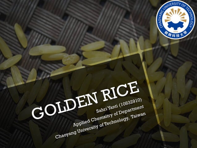 03012020 sahri yanti golden rice | PPT