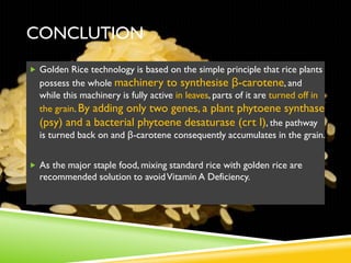 03012020 sahri yanti golden rice | PPT