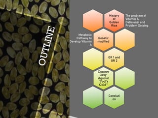 03012020 sahri yanti golden rice | PDF