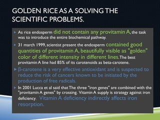 03012020 sahri yanti golden rice | PPT