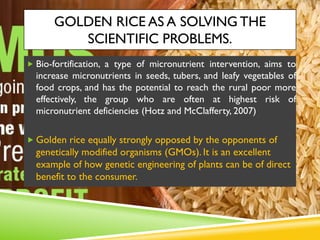 03012020 sahri yanti golden rice | PPT