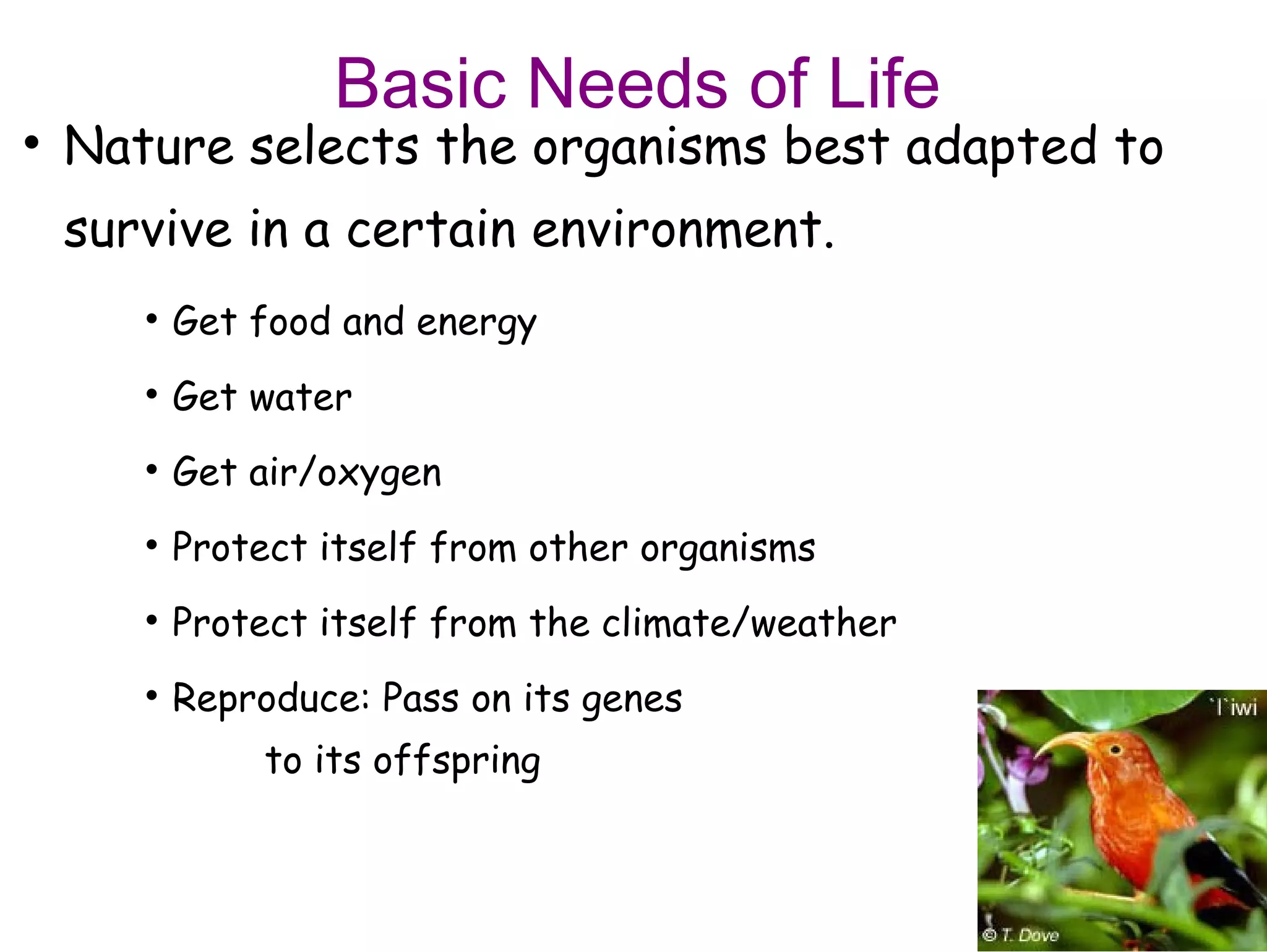 0301 Classroom Adaptations | PPT