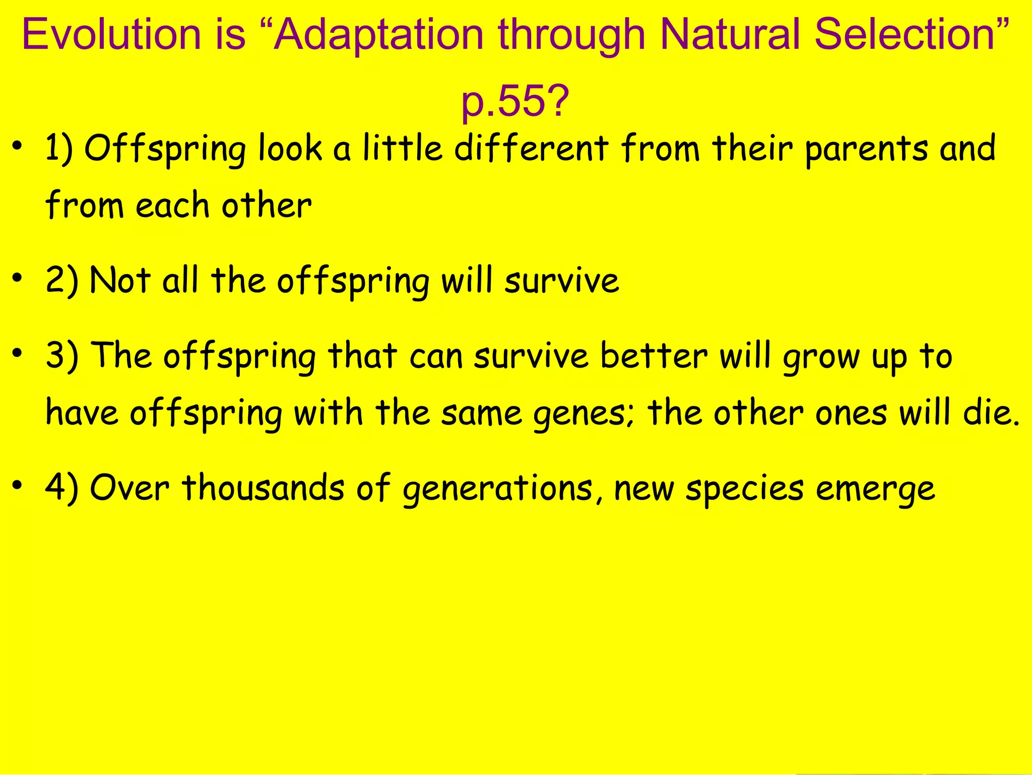 0301 Classroom Adaptations | PPT