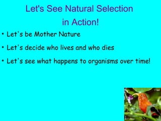 0301 Classroom Adaptations | PPT