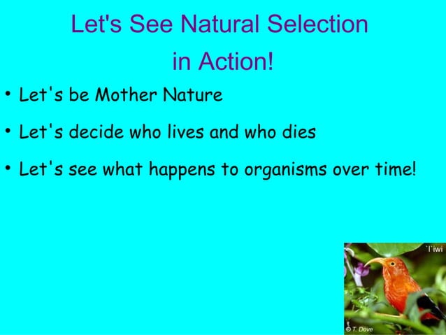 0301 Classroom Adaptations | PPT