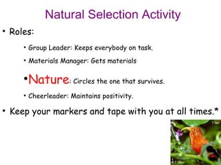 0301 Classroom Adaptations | PPT