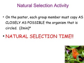 0301 Classroom Adaptations | PPT