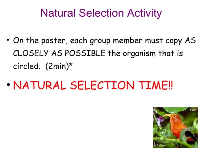 0301 Classroom Adaptations | PPT