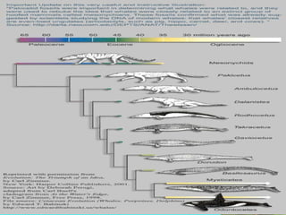 0301 Classroom Adaptations | PPT