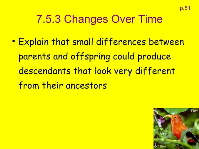 0301 Classroom Adaptations | PPT