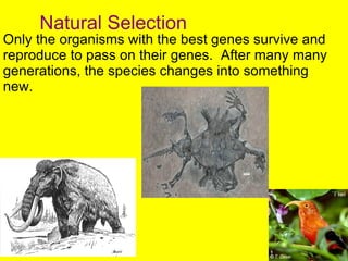 0301 Classroom Adaptations | PPT