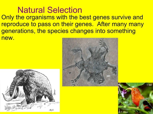 0301 Classroom Adaptations | PPT