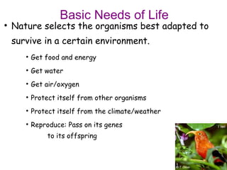 0301 Classroom Adaptations | PPT