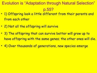 0301 Classroom Adaptations | PPT