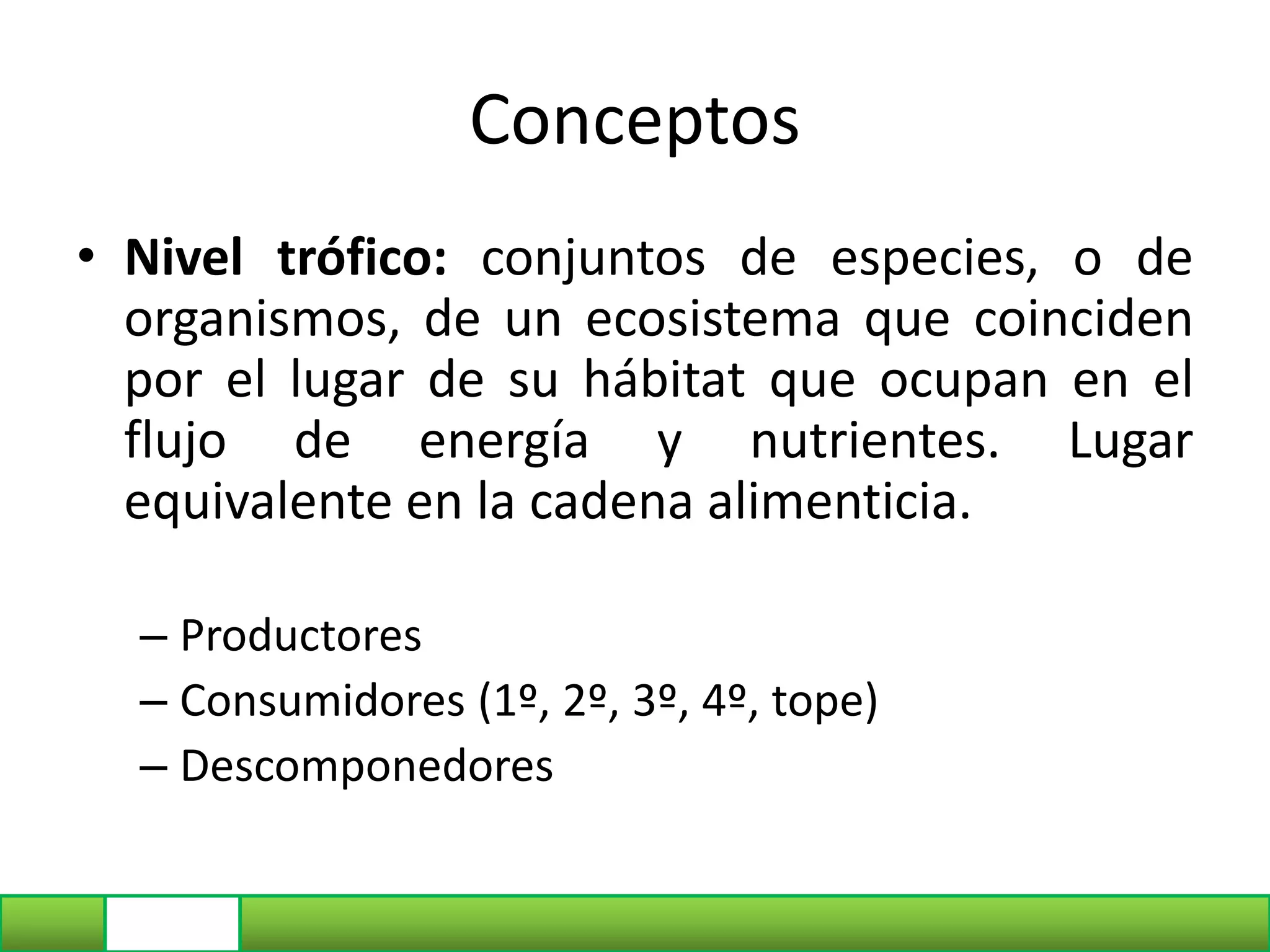 Flujo de materia y energía en ecosistemas | PPTX | Chemistry | Science