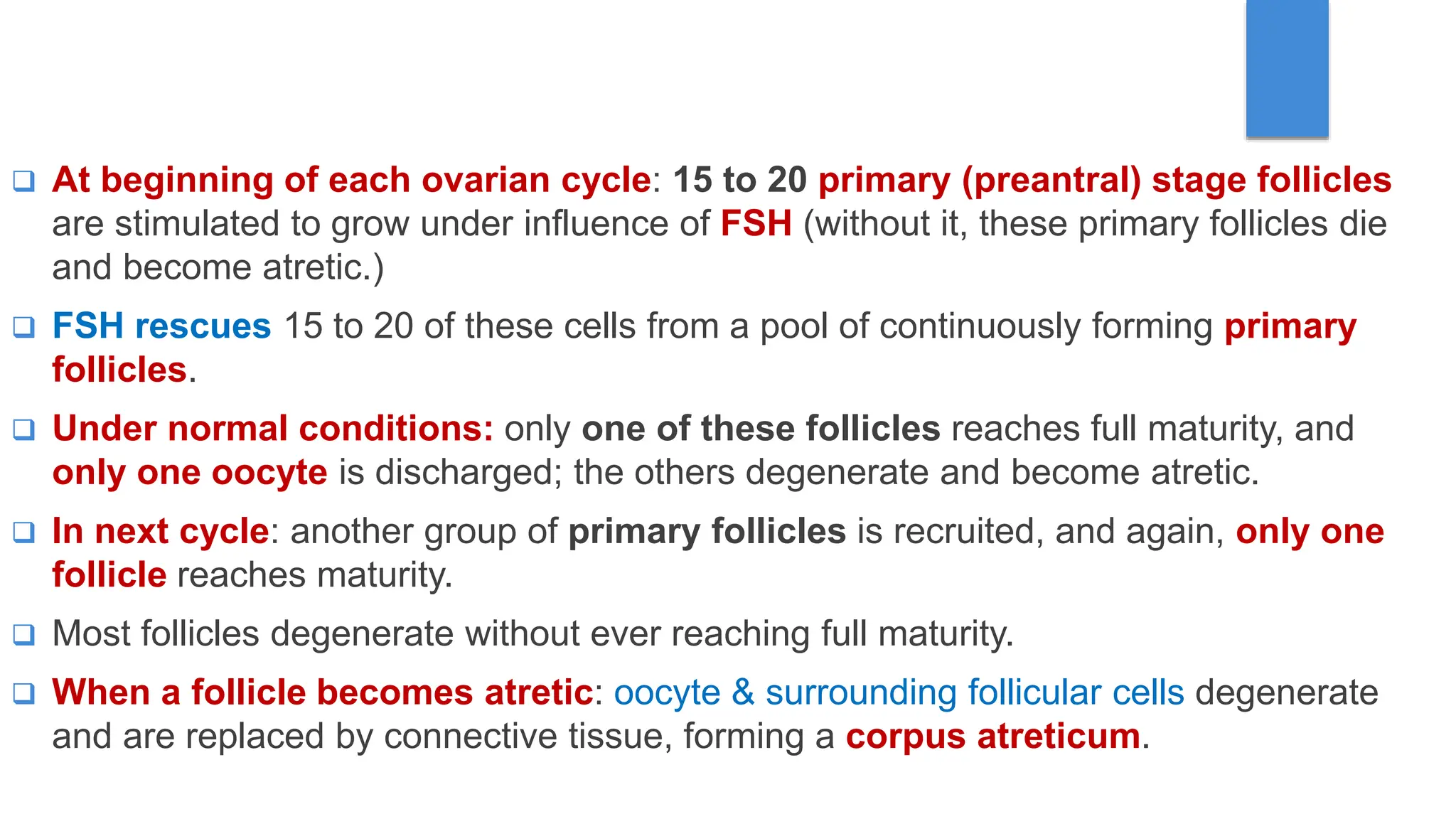 03 04 05 Female reproductive cycle, Fertilization, First week cleavage ...