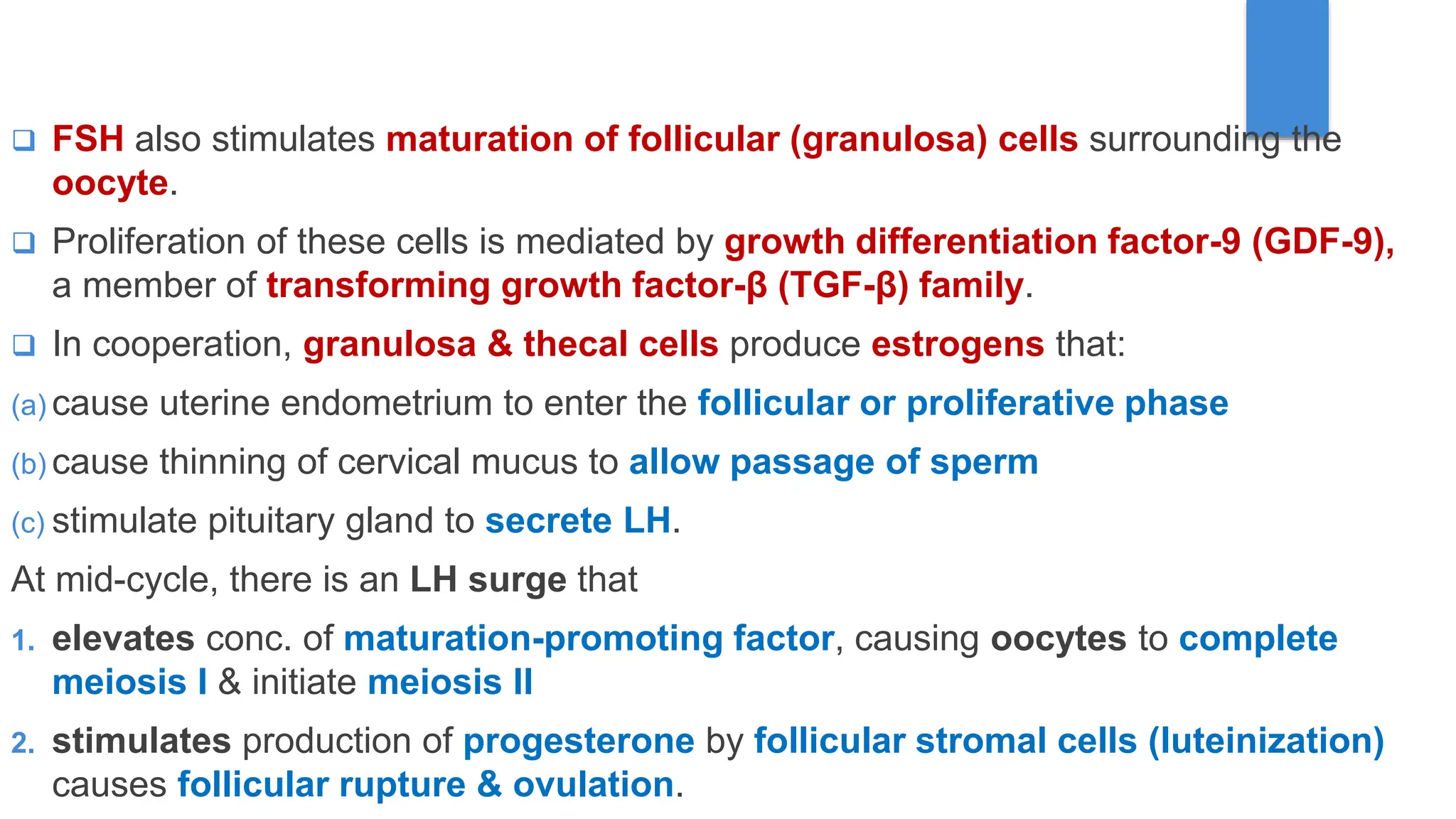 03 04 05 Female reproductive cycle, Fertilization, First week cleavage ...