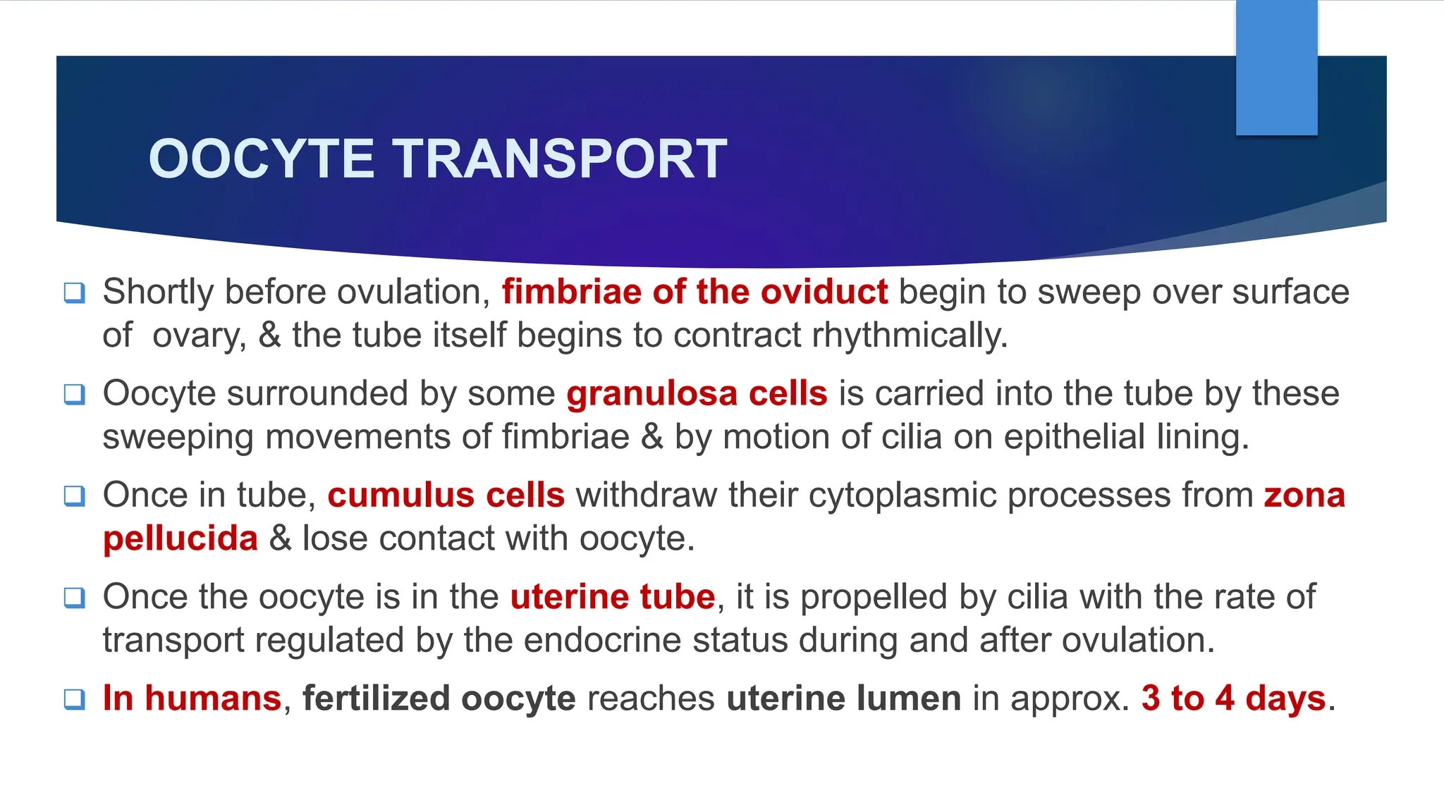 03 04 05 Female reproductive cycle, Fertilization, First week cleavage ...