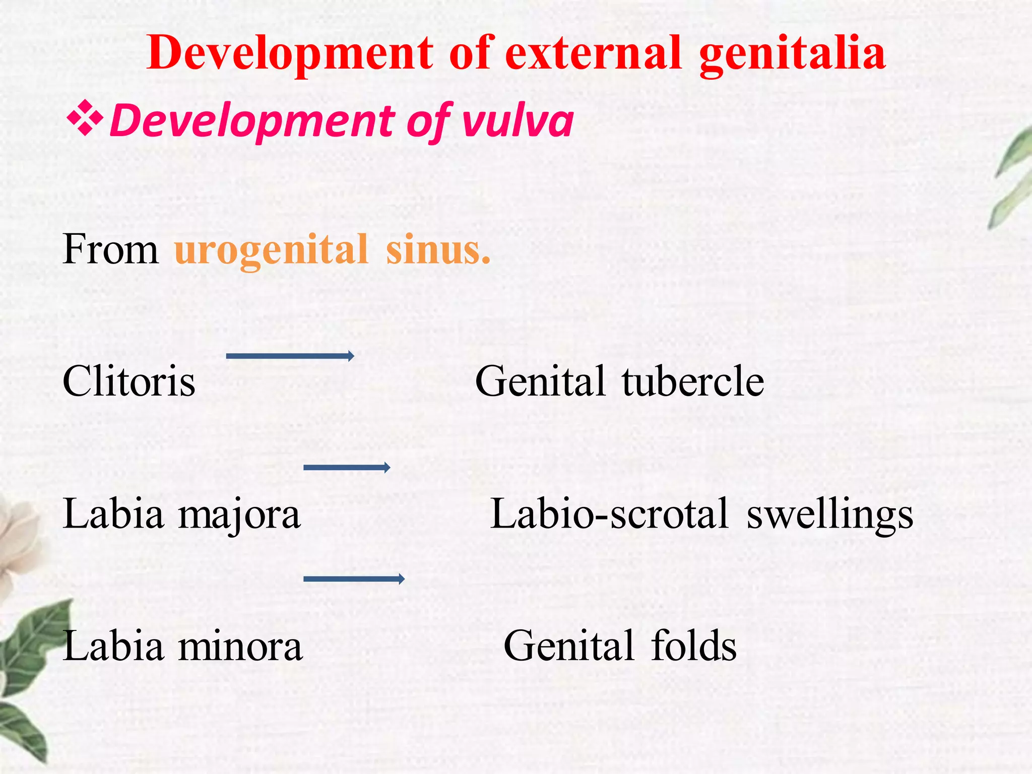 03,04 Embryology & congenital anomalies.pdf