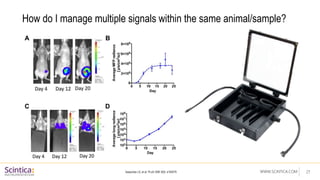 Tips and Tricks for Preclinical Optical Imaging | PPT