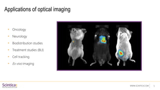 Tips and Tricks for Preclinical Optical Imaging | PPT