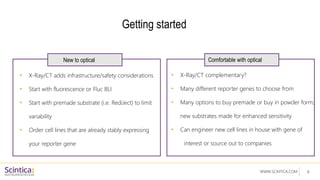 Tips and Tricks for Preclinical Optical Imaging | PPT