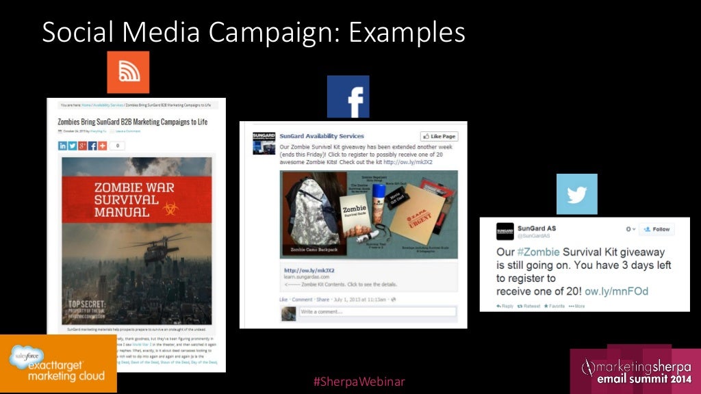 Social Media Campaign: Examples #SherpaWebinar