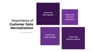 Customer Data Normalization: Transforming Raw Data into Actionable ...