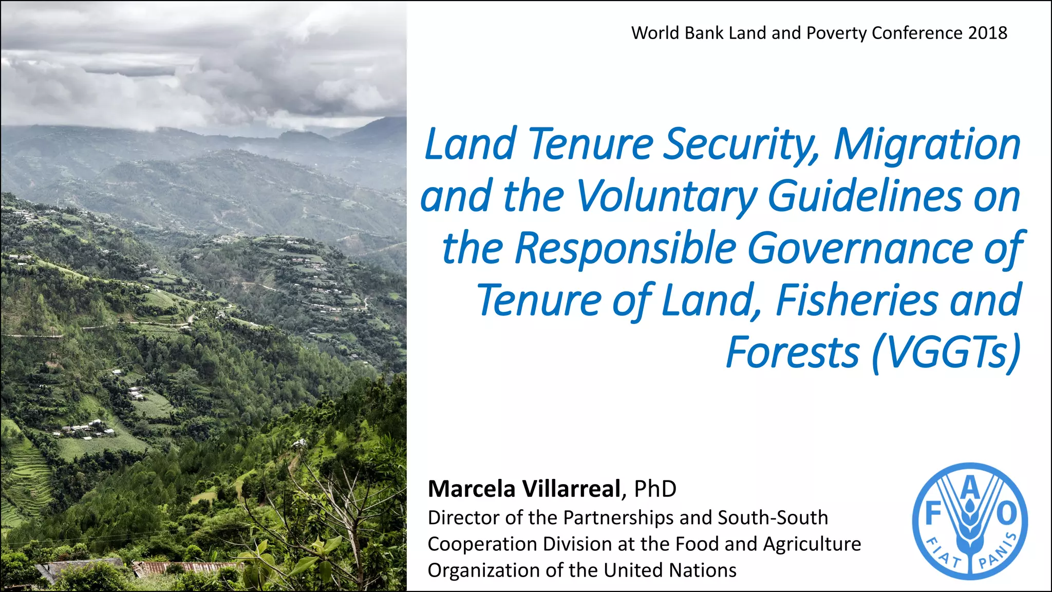 Land Tenure Security, Migration and the Voluntary Guidelines on the ...