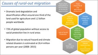 Land Tenure Security, Migration and the Voluntary Guidelines on the ...