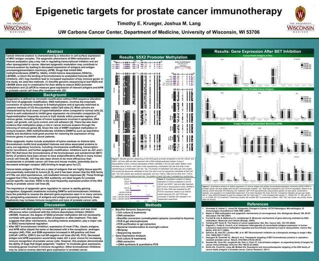 Undergraduate Research Symposium Poster | PPTX | Cancer | Diseases and ...